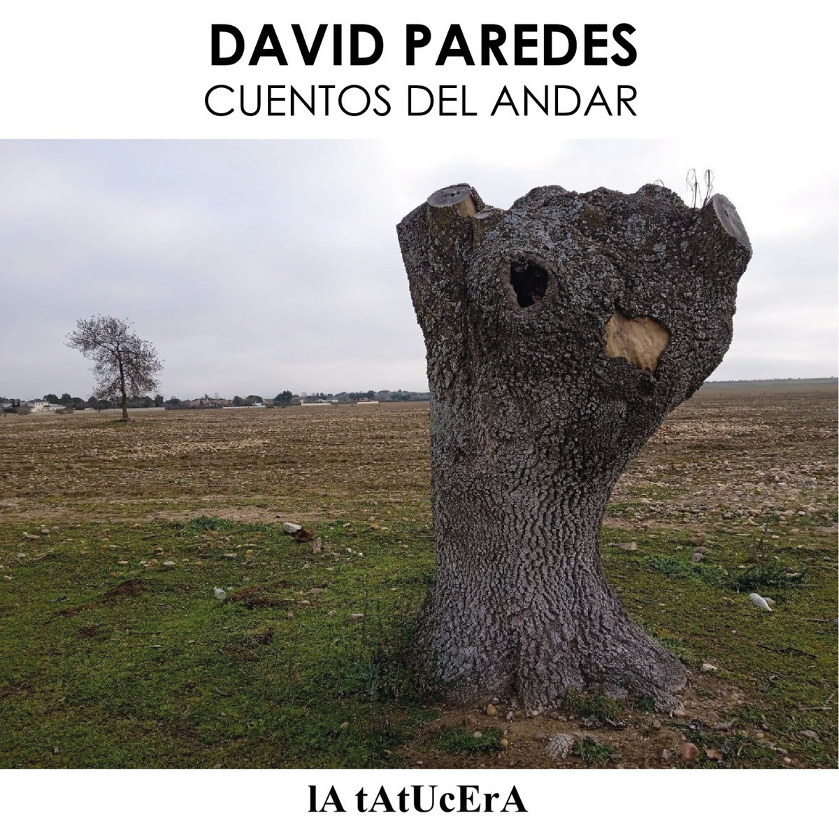 CUENTOS DEL ANDAR | DAVID PAREDES | lA tAtUcErA