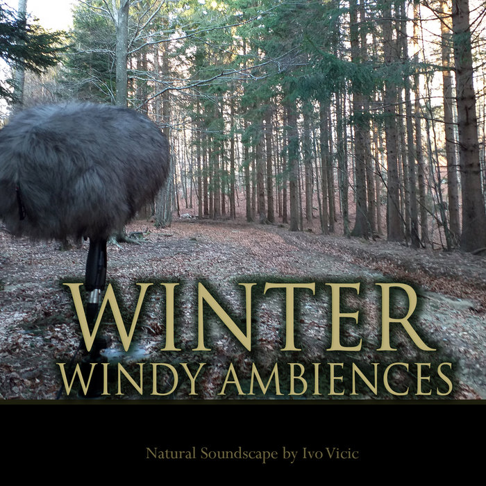 Winter, Windy Ambiences | Ivo Vicic