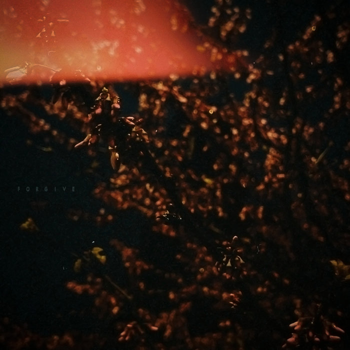 forgive | lost.empathy