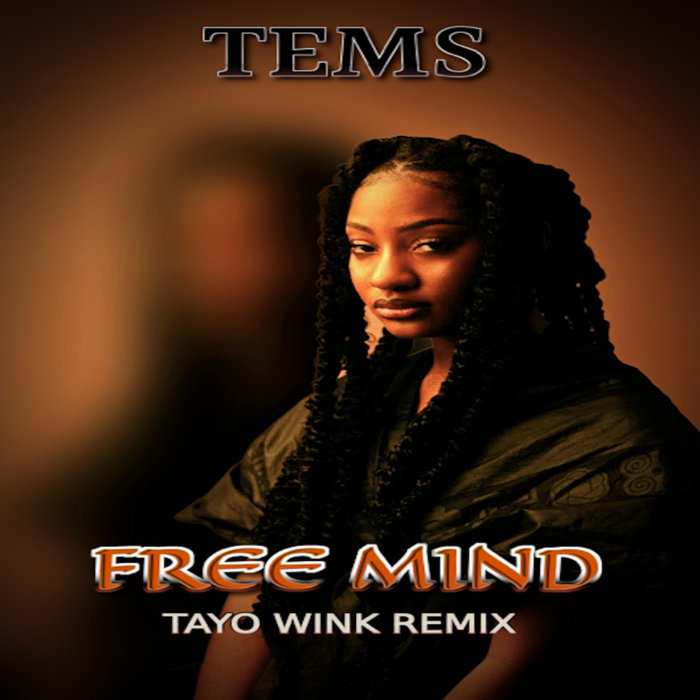 Tems - Free Mind (Tayo Wink Remix) | Tayo Wink