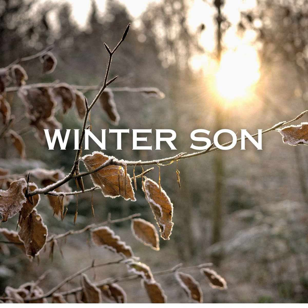 Winter Son | clive williams