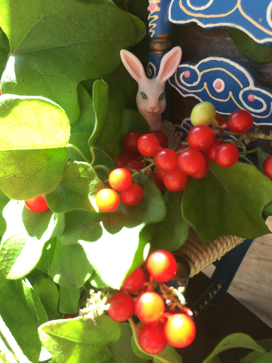 The World We Want | Hannah Fury