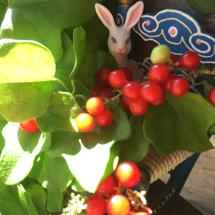 The World We Want | Hannah Fury