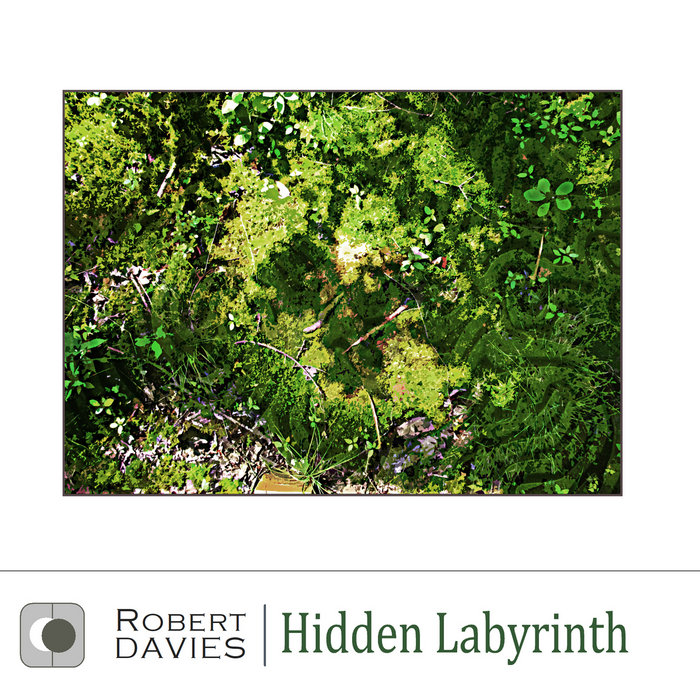 Hidden Labyrinth | Robert Davies | DataObscura