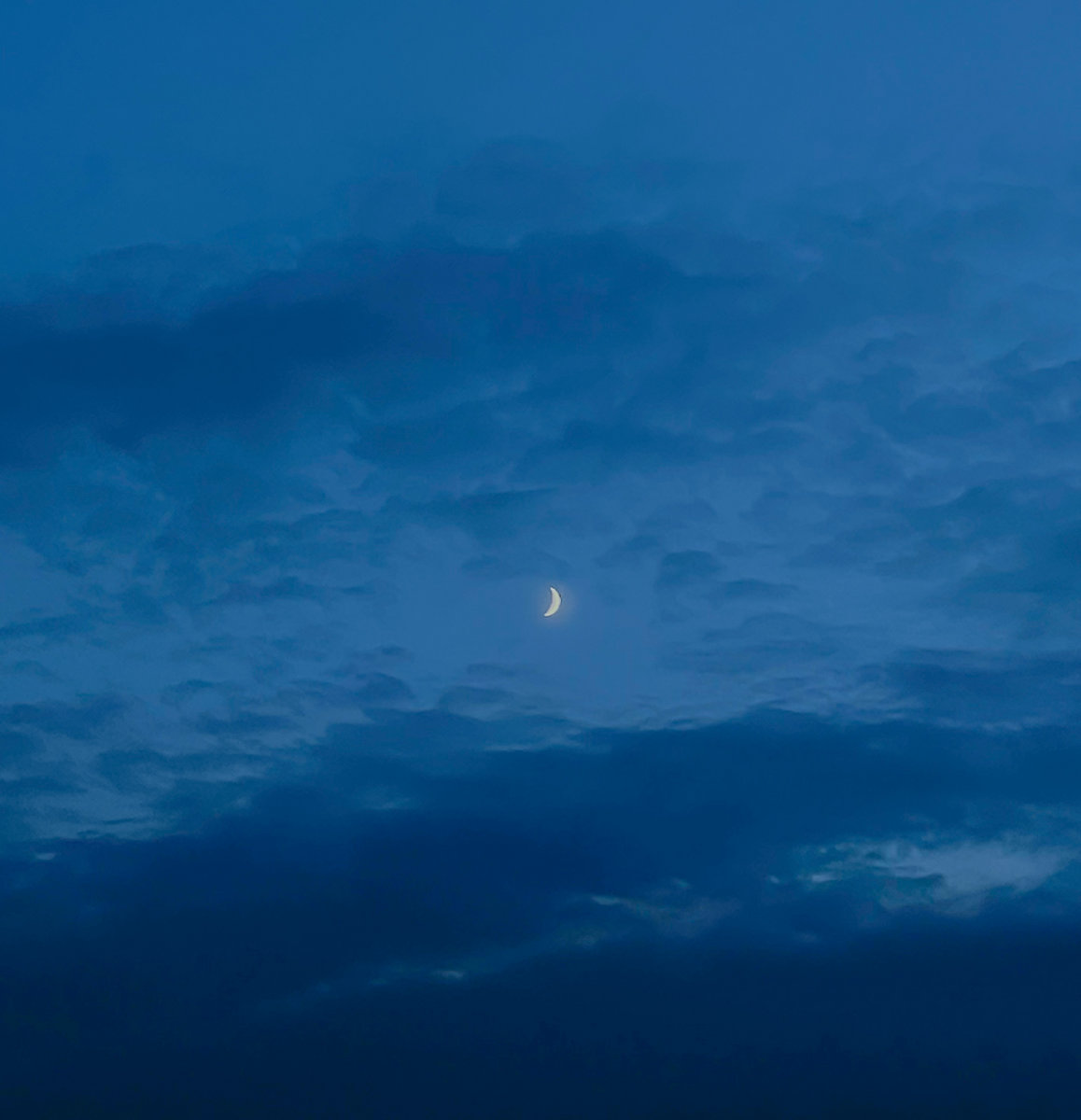 Moon Sounds | Mitchell