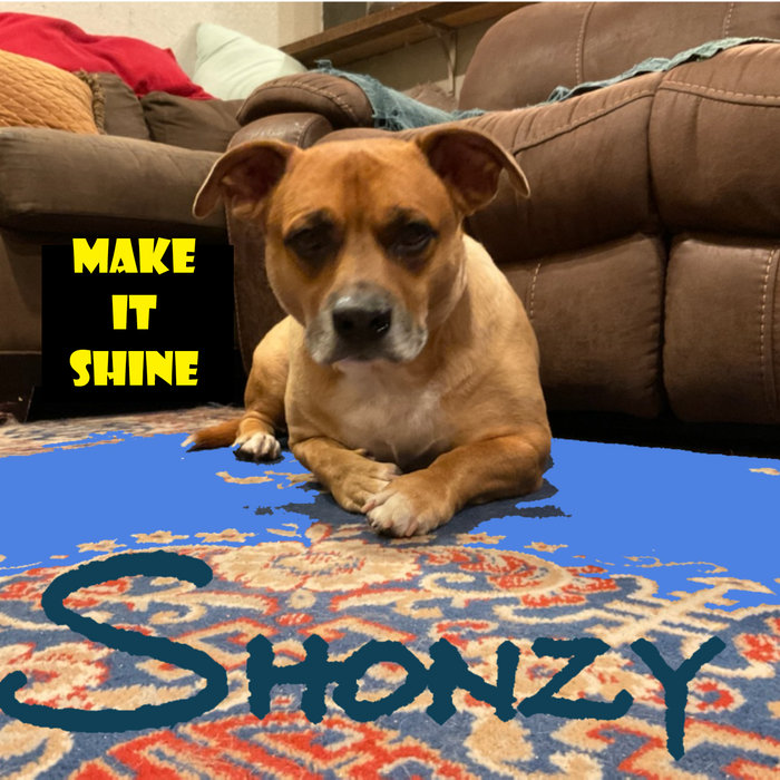 MAKE IT SHINE | Shawn Mathews | SHONZY