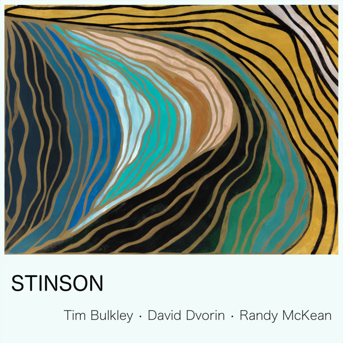 Stinson | Tim Bulkley, David Dvorin & Randy McKean