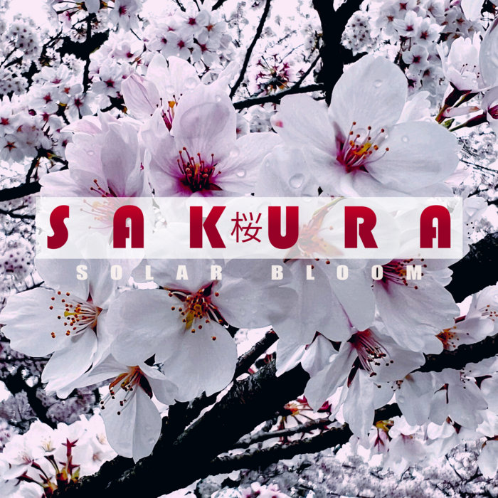 Sakura | Solar Bloom