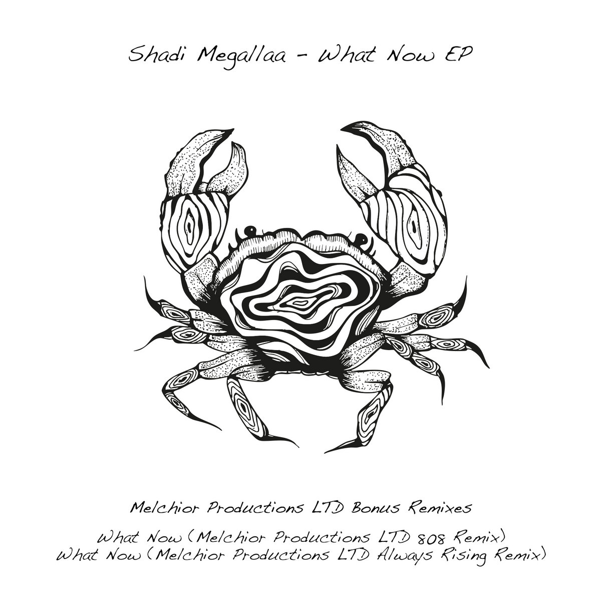 Shadi Megalla - What Now (Melchior Productions Ltd Always Rising Remix ...