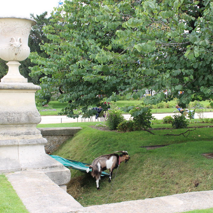 The Odd Life Of Timothy Green Pool Scene Christmas | Fatala ...