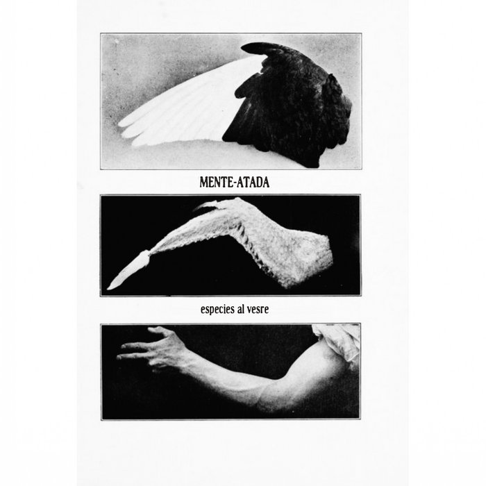 Especies Al Vesre | Mente-Atada