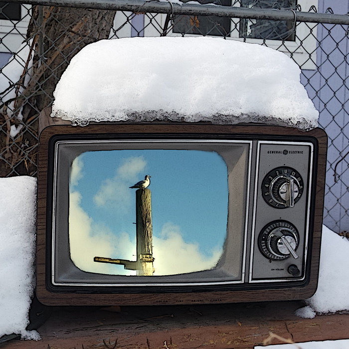 Hush Bird | the ptesseract with Larry Hirshberg | Sean Howard