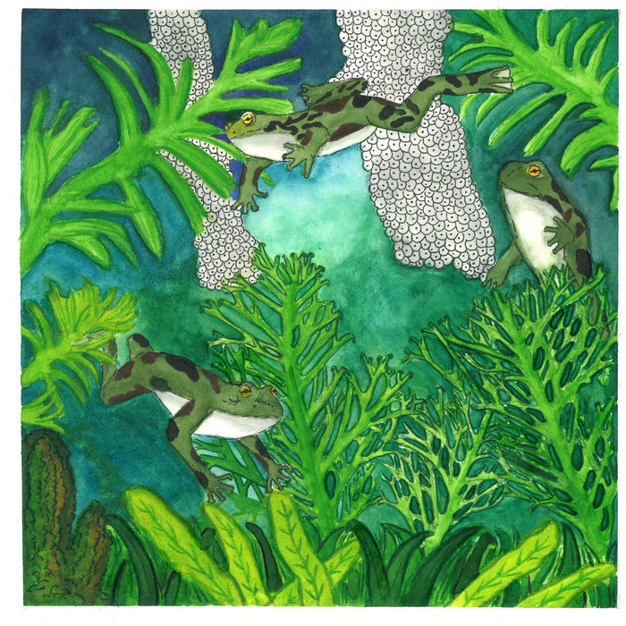 Hot Tub Music For Frogs | Caleb Flood | Strange Mono