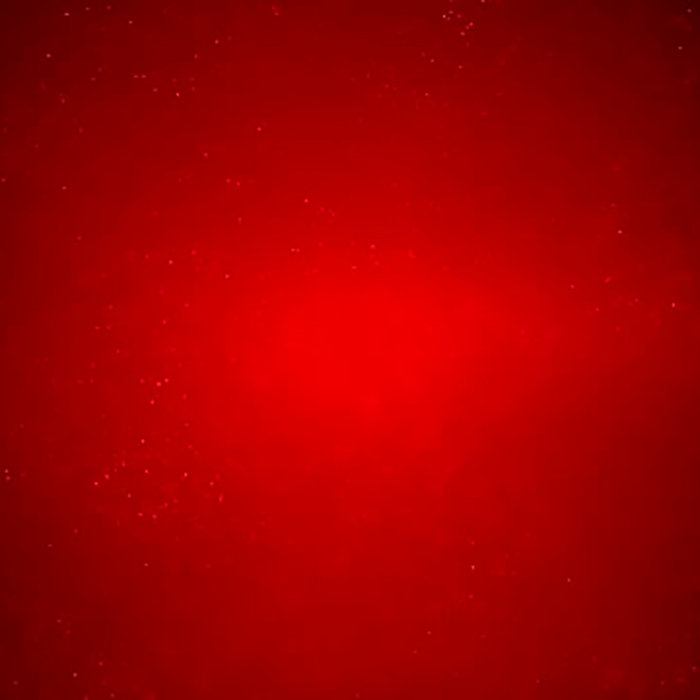 RedZone by Royal McBee Corporation | Royal McBee Corporation | ROYAL ...