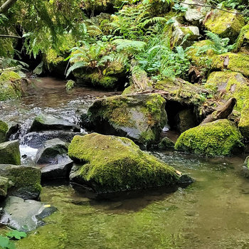 Music | Imploding Sounds