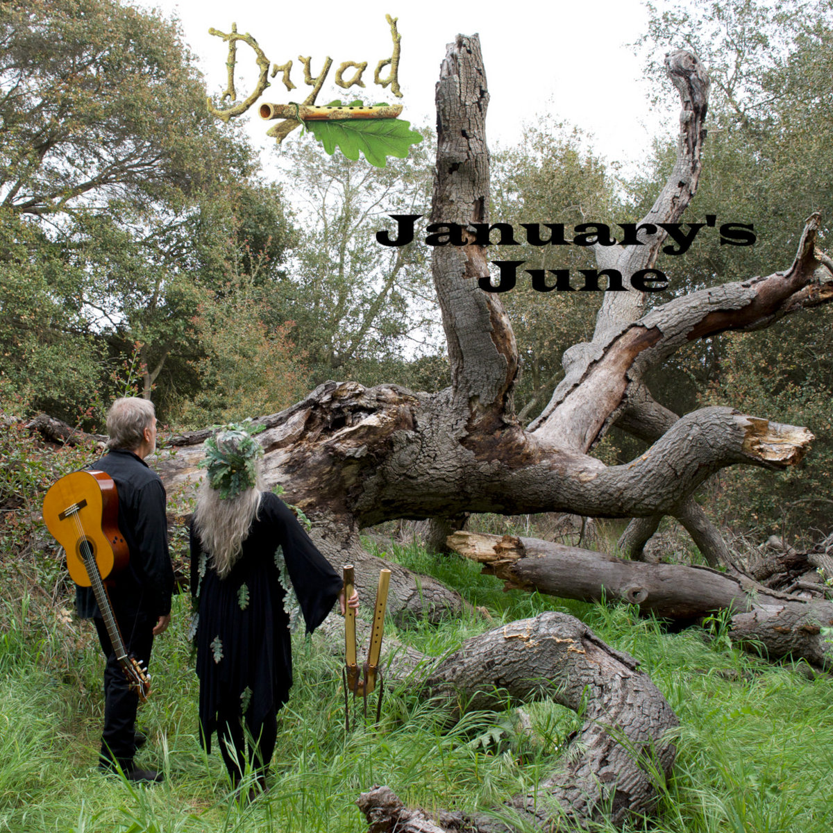 January's June | Dryad