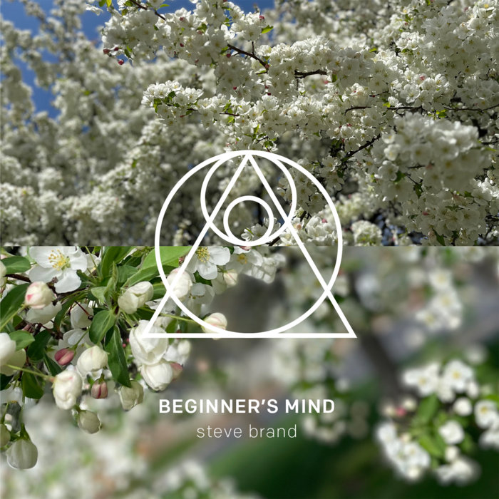 beginner's mind | Steve Brand
