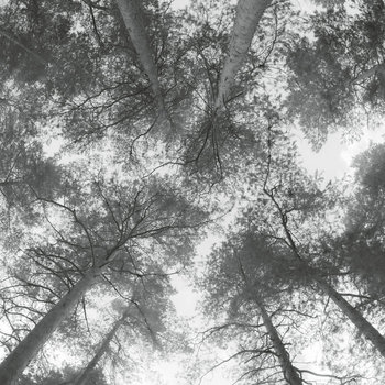 Music | Black Truffle