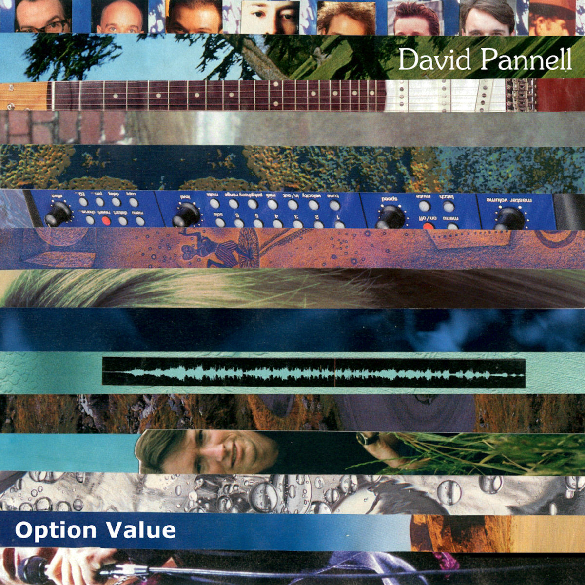 Option Value | David Pannell | dog park