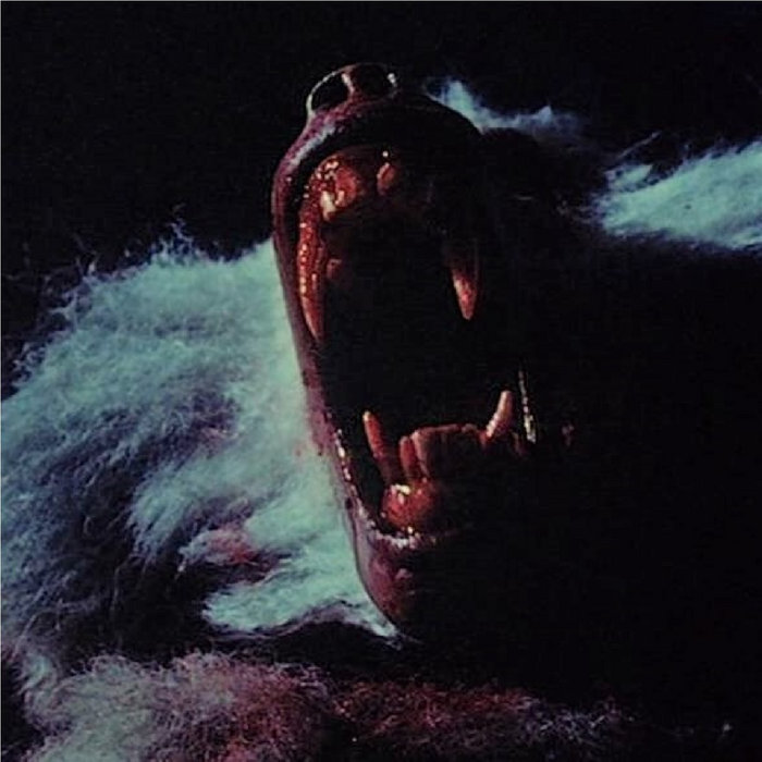 Baboon King | Baboon King