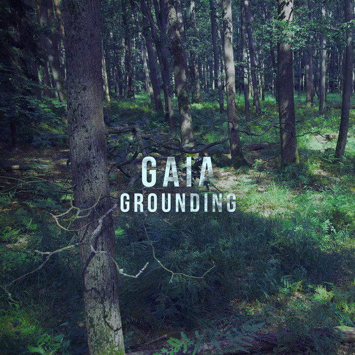 Gaia Grounding Ceremony | Calm Whale