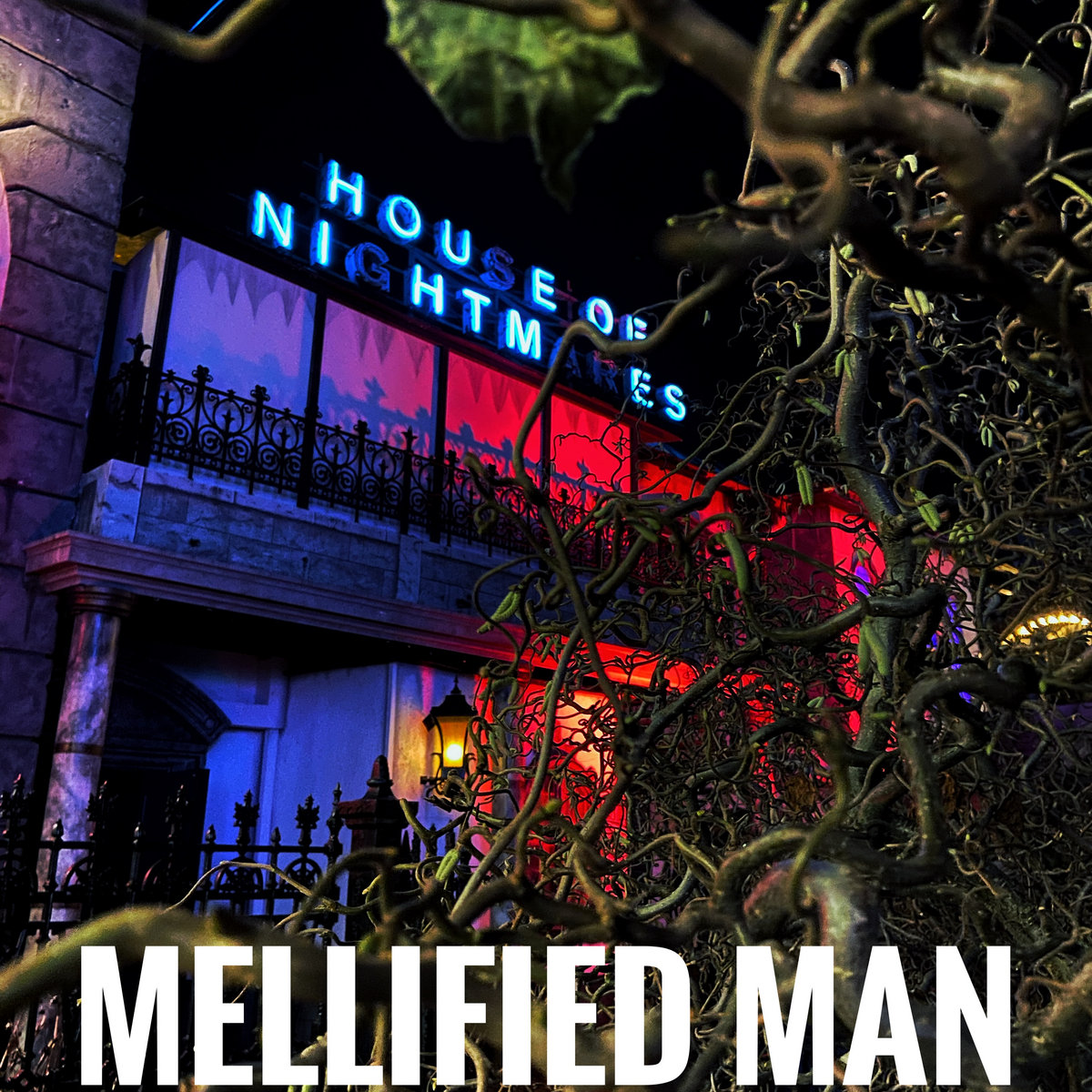 house of nightmares | Mellified Man