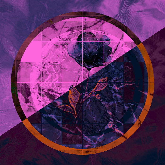 Ever Garden | Unlisted Rose