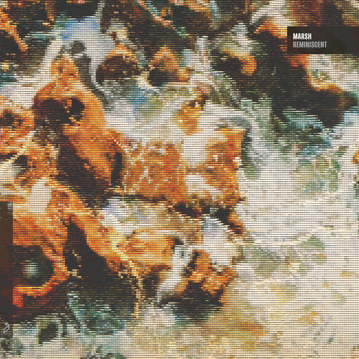 Reminiscent | Marsh