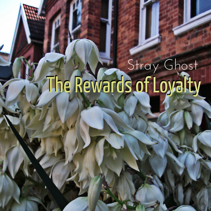 The Rewards of Loyalty | Stray Ghost // Anthony Baden Saggers
