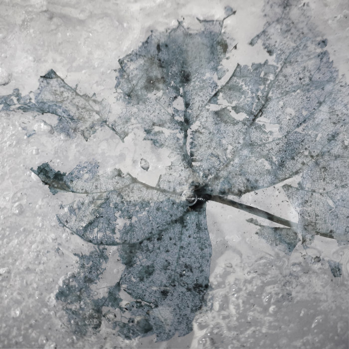 Restless Nature | David Cordero | whitelabrecs