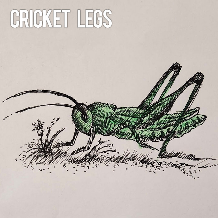 CRICKET LEGS | RELEASE BEATS & BULLFROG | releasebeats