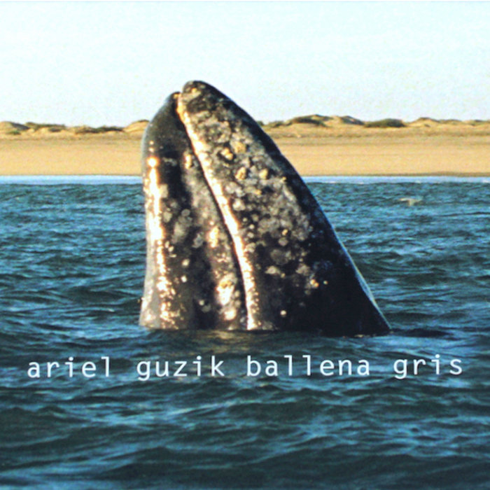 Ballena Gris | Ariel Guzik
