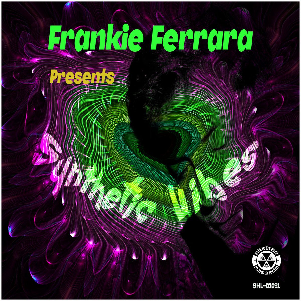 SYNTHETIC VIBES | Frankie Ferrara | Shelter Records
