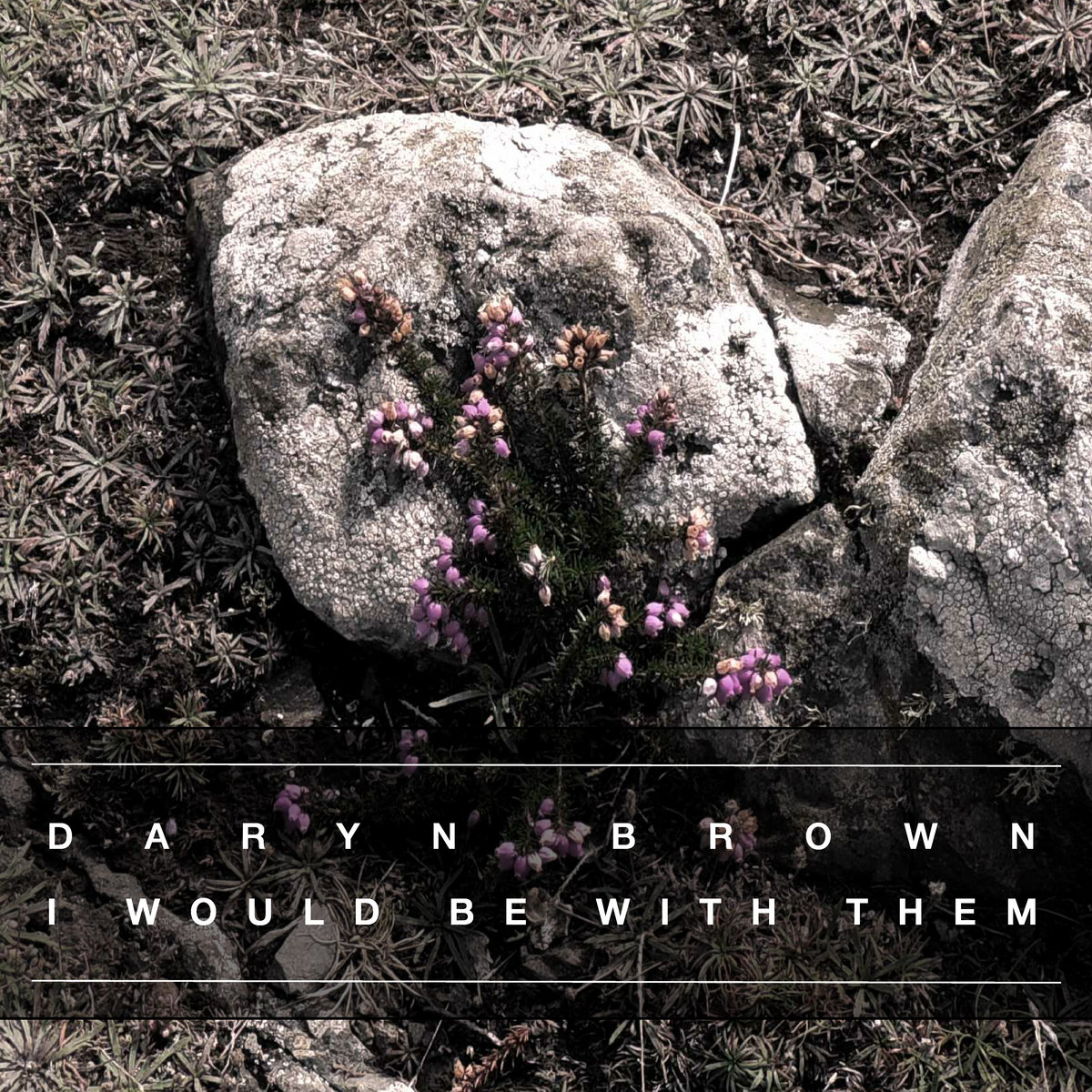 I Would Be With Them | Daryn Brown