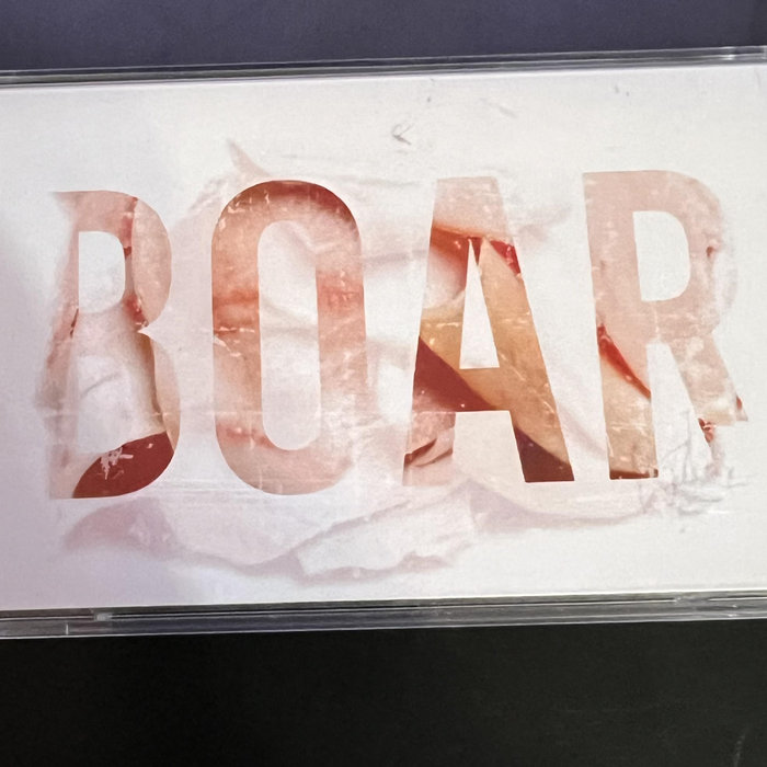 Boar | Boar