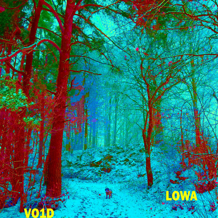 Vo1d | LOWA