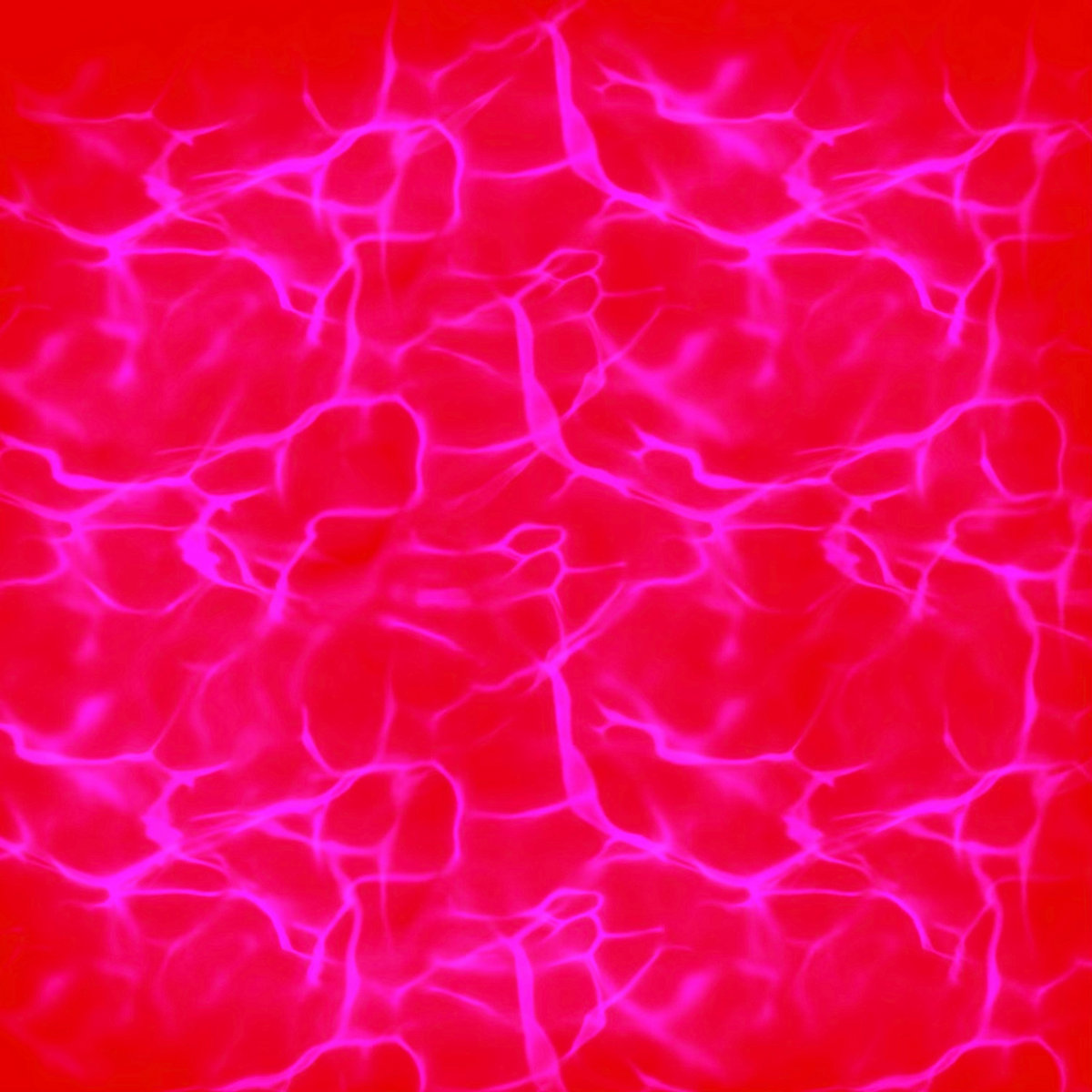 Lil Dunk | Loewe Immerlieb