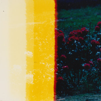 Music | gray wolf radio