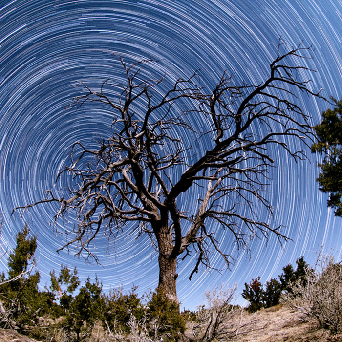 Open Horizon 7" Record | Richard Houghten