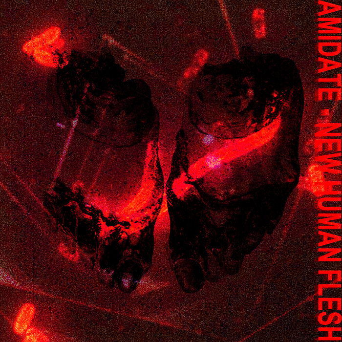 New Human Flesh | Amidate | Bone Horizon