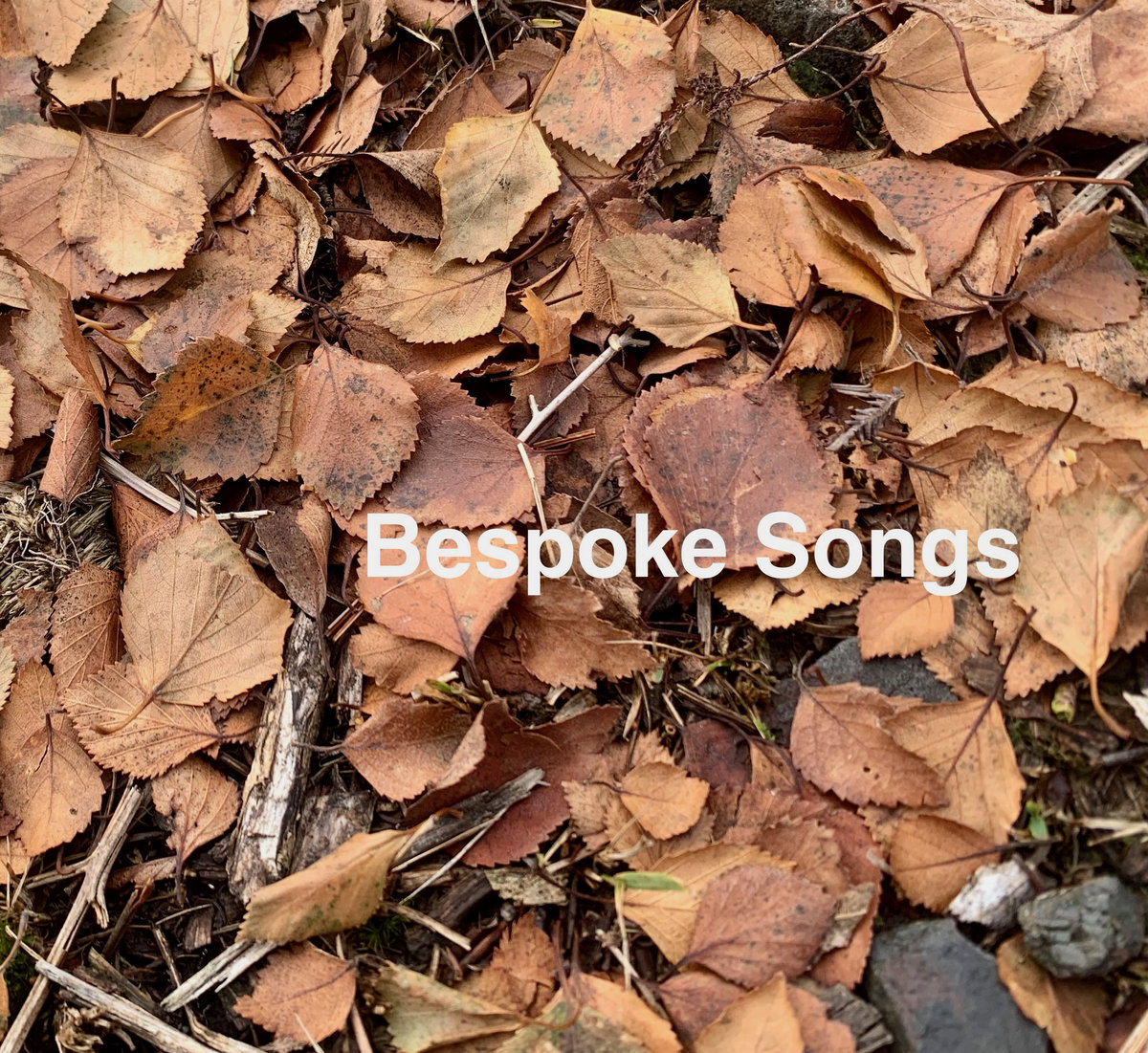 Bespoke Songs - Album | Paul Field