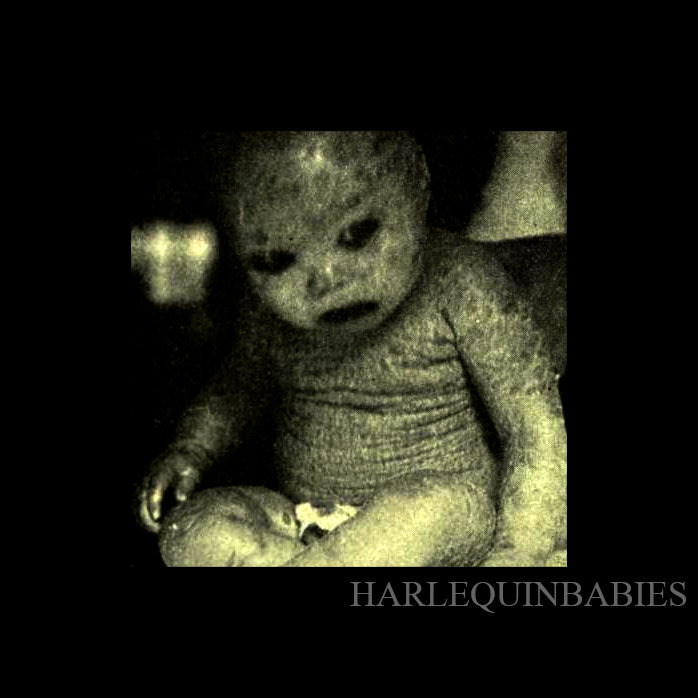 Harlequin Babies | Harlequin Babies