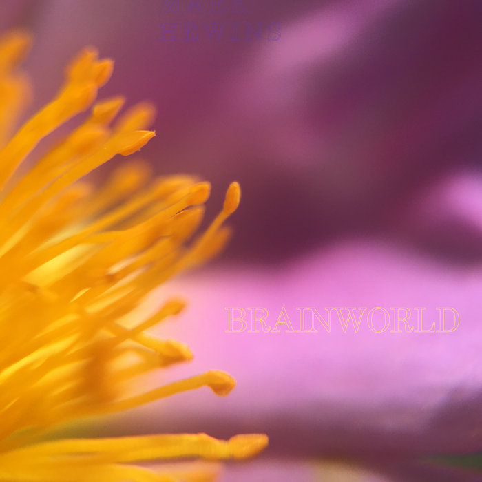 Brainworld | Mark Hewins, Garry Judd | Mark Hewins