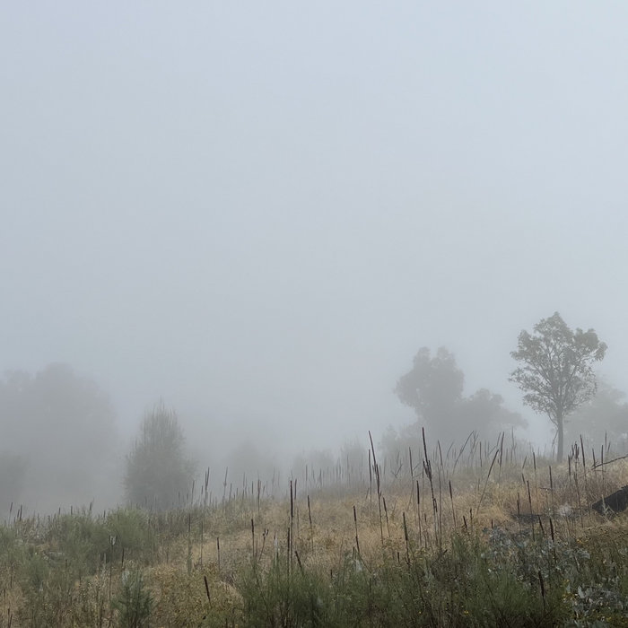 Below The Clouds And Mist | Mark Healsmith