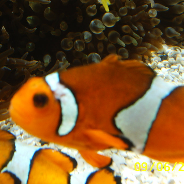 Keep Moving | The Lyrical Mezziah