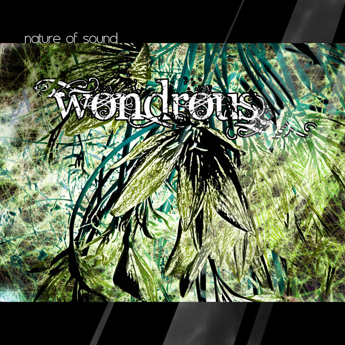 wondrous | nature of sound