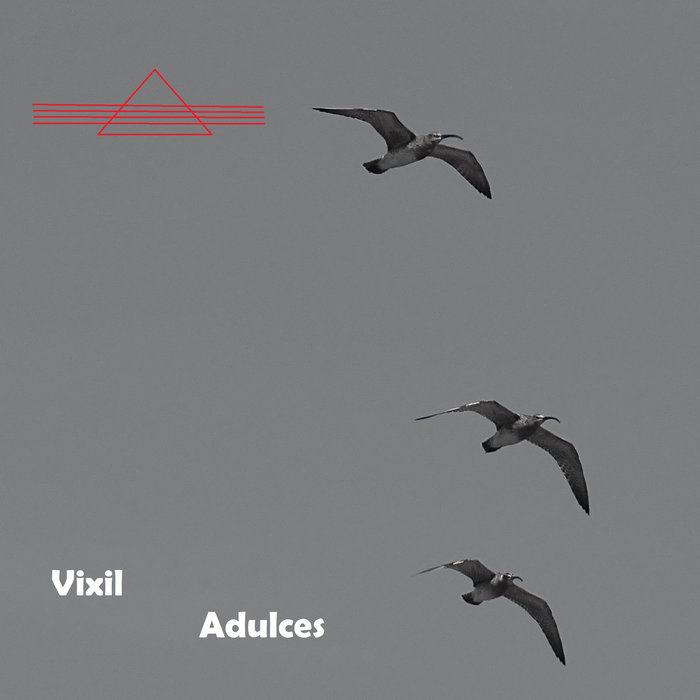 Adulces | Vixil