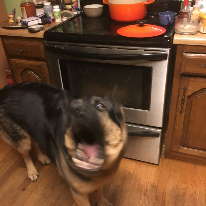 Breakfast Until 11 | Local Milk People