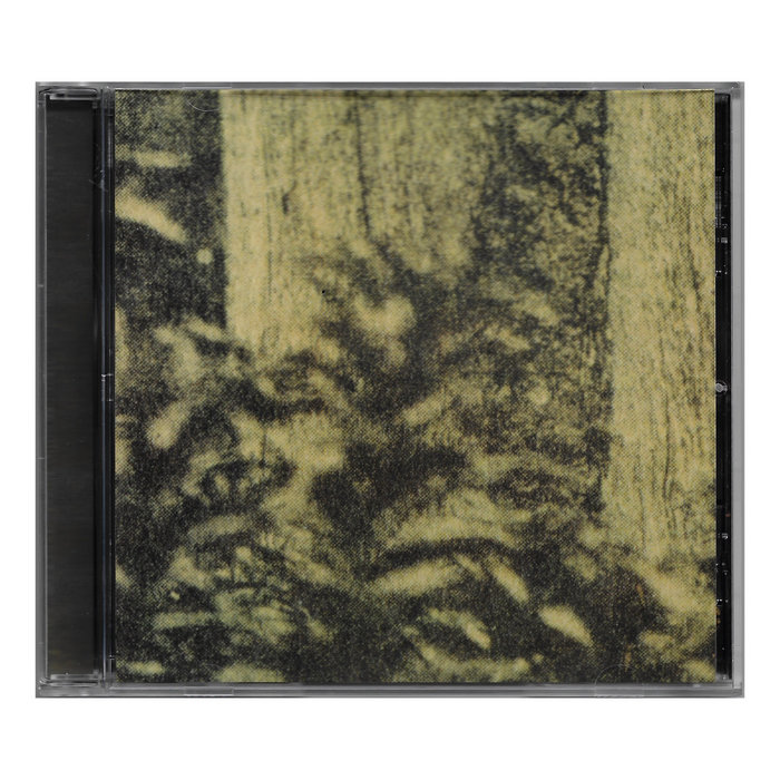 Faults | Sawn Half | Tribe Tapes