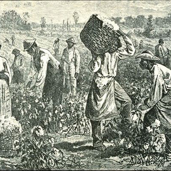 Pick a bale of cotton (Jump down...) | Les élèves de l'école Mermoz ...